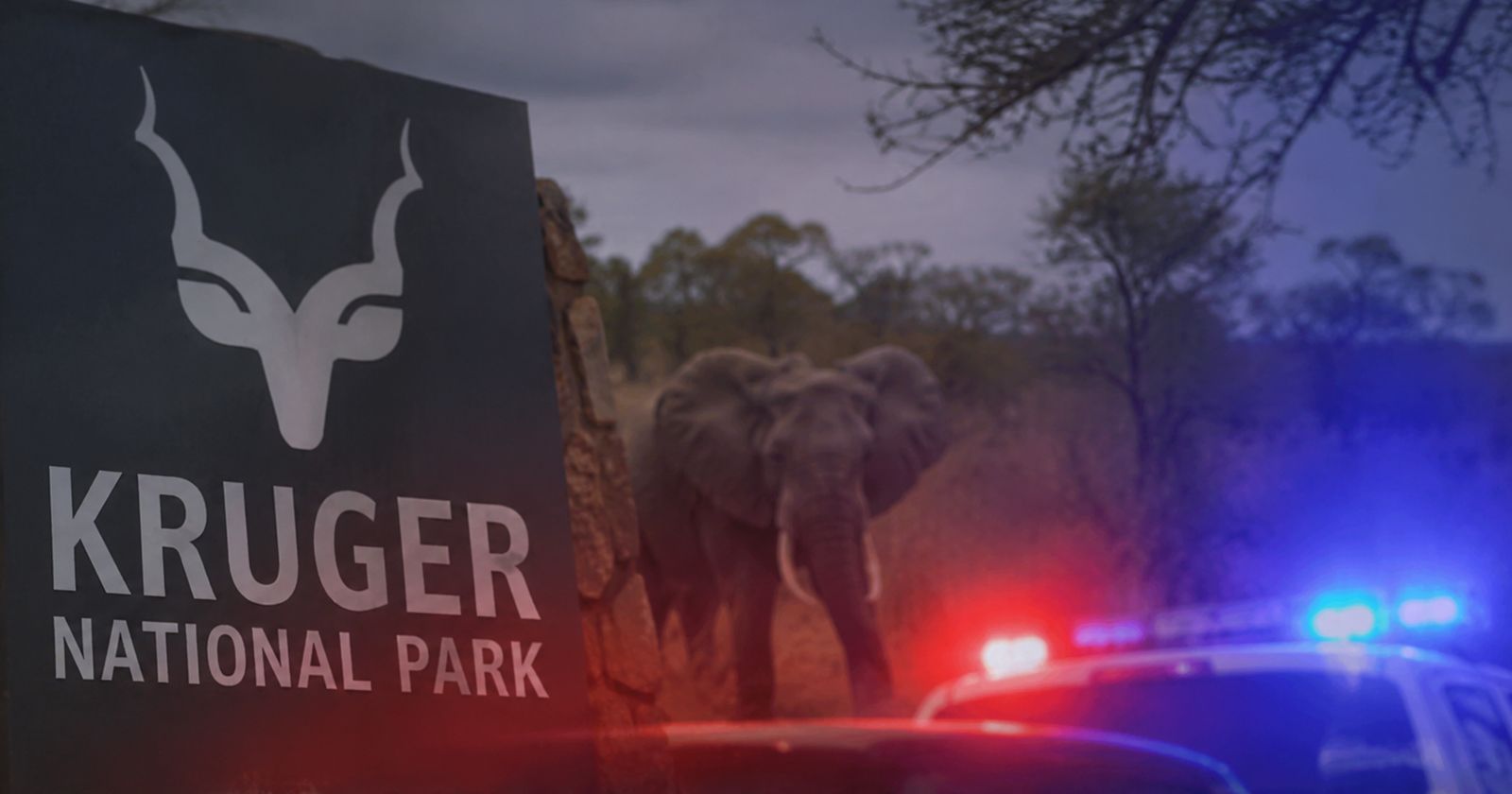 Two tourists found murdered in Kruger National Park