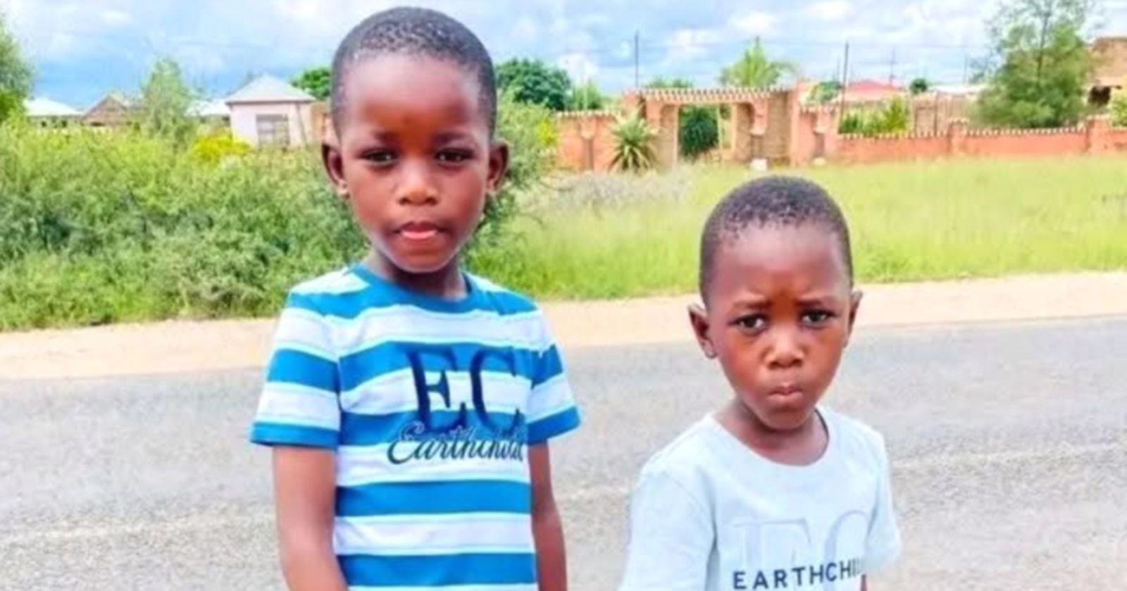 Mother arrested after two brothers die of suspected poisoning